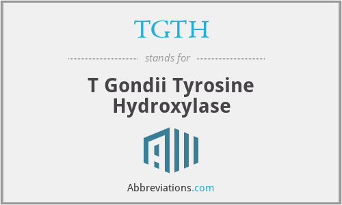 What does TGTH stand for?