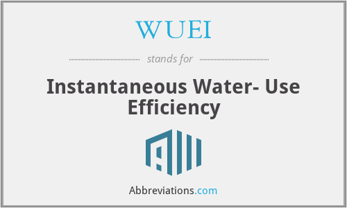 What does WUEI stand for?