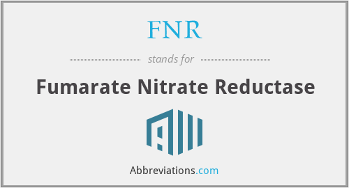 What does FNR stand for?