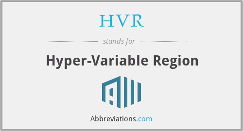What does HVR stand for?