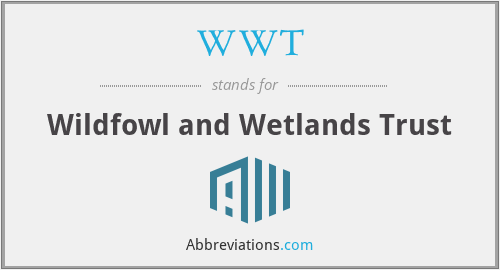 What does WWT stand for?