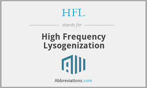 What does HFL stand for?