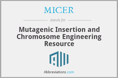 What does MICER stand for?