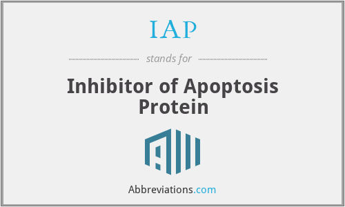 What does IAP stand for?