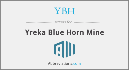 What does YBH stand for?