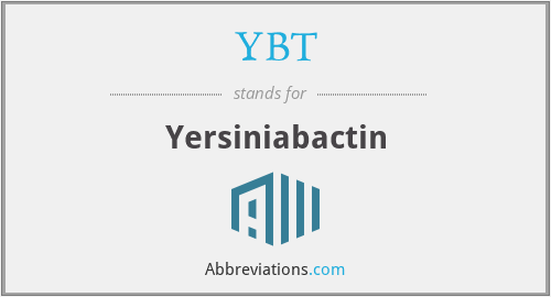 What does YBT stand for?