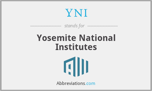 What does YNI stand for?