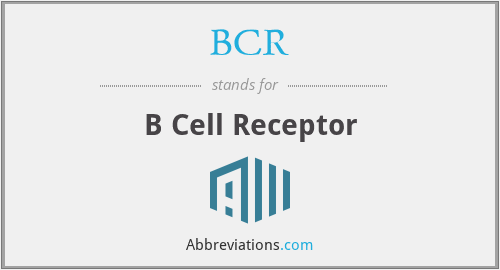 What does BCR stand for?