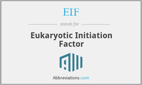 What does EIF stand for?