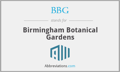 What does BBG stand for?