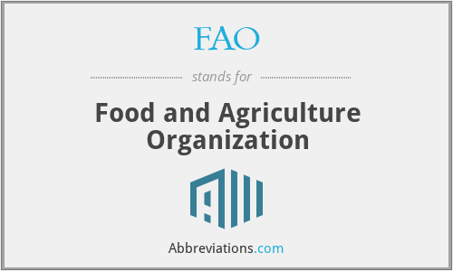 What does F.A.O stand for?