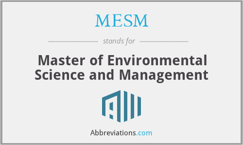 What does MESM stand for?