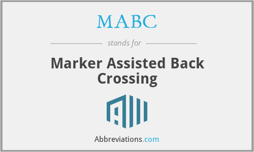 What does MABC stand for?
