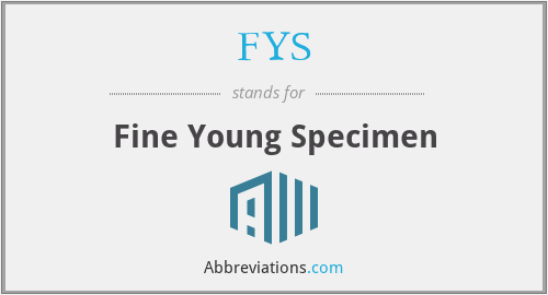What does FYS stand for?