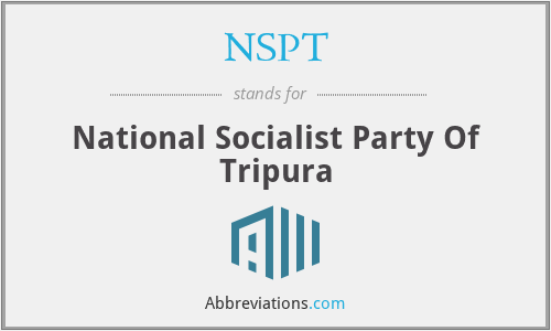 What does NSPT stand for?