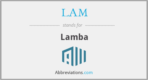 What does LAM stand for?