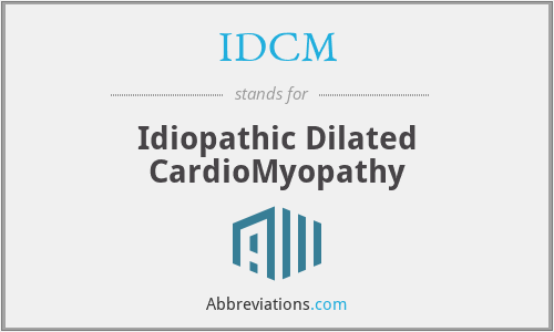 What does IDCM stand for?