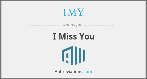 What does IMY stand for?