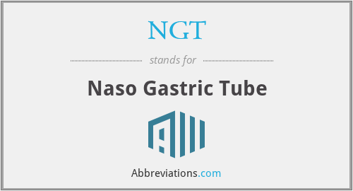 What does NGT stand for?