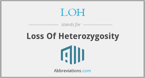 What does LOH stand for?