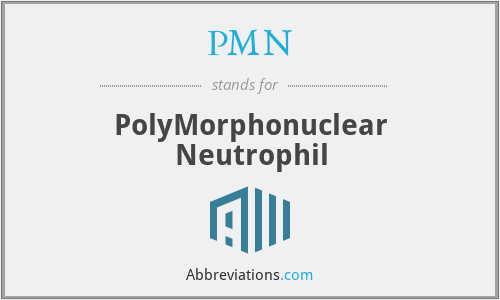 What does PMN stand for?