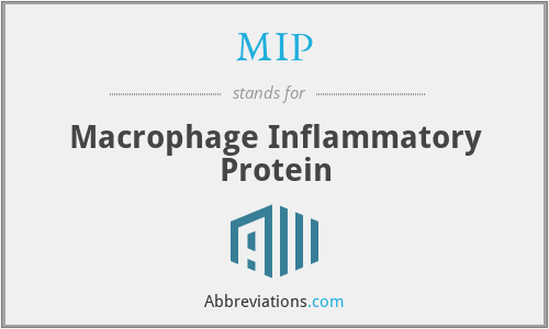 What does MIP stand for?