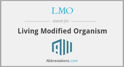 What does LMO stand for?