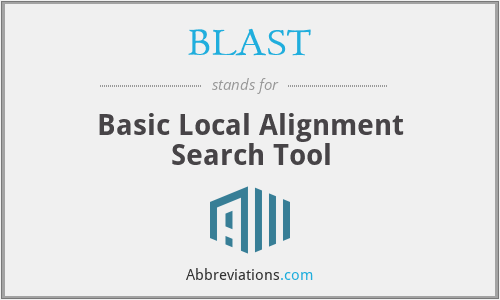 What does BLAST stand for?