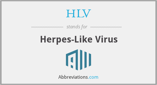 What does HLV stand for?