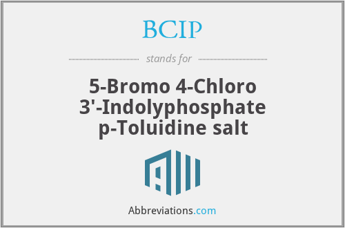 What does BCIP stand for?