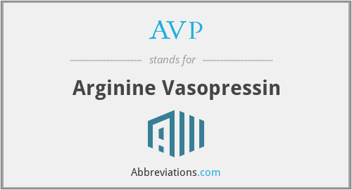 What does AVP stand for?