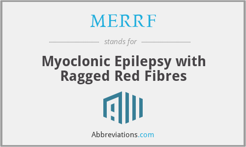 What does MERRF stand for?