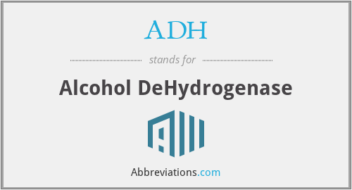 What does ADH stand for?