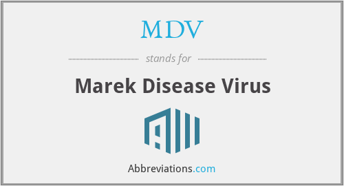 What does MDV stand for?