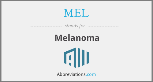 What does MEL stand for?