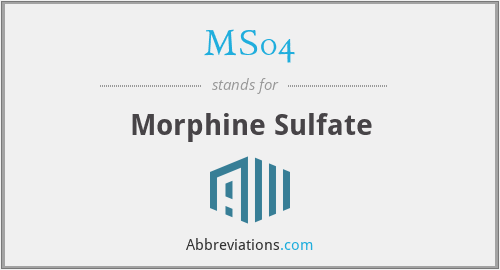 What does MS04 stand for?