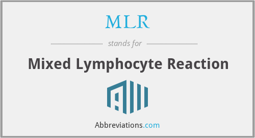 What does MLR stand for?