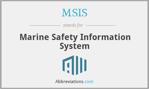 What does MSIS stand for?