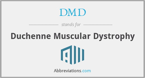 What does DMD stand for?