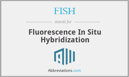 What does FISH stand for?