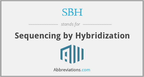 What does SBH stand for?