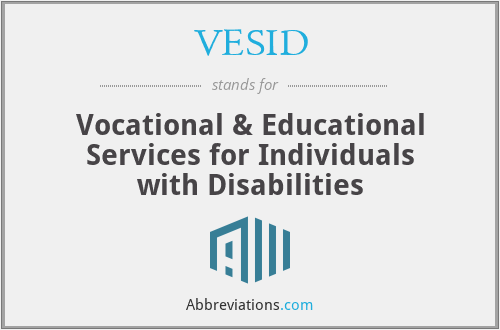 What does VESID stand for?