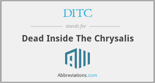 What does DITC stand for?