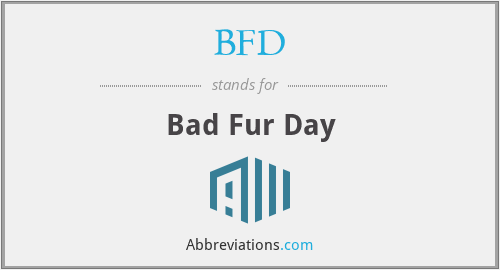What does BFD stand for?