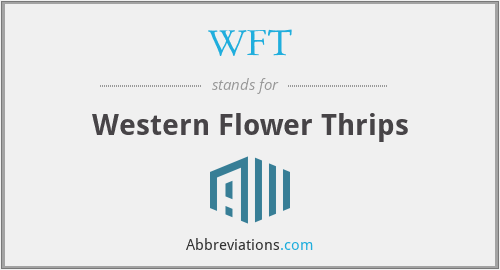 What does WFT stand for?