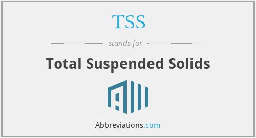 What does TSS stand for?