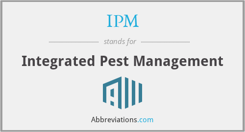What does IPM stand for?