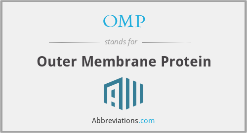 What does OMP stand for?