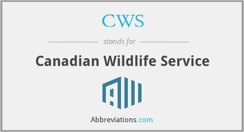 What does CWS stand for?