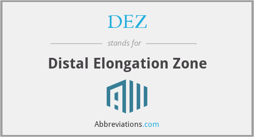 What does DEZ stand for?